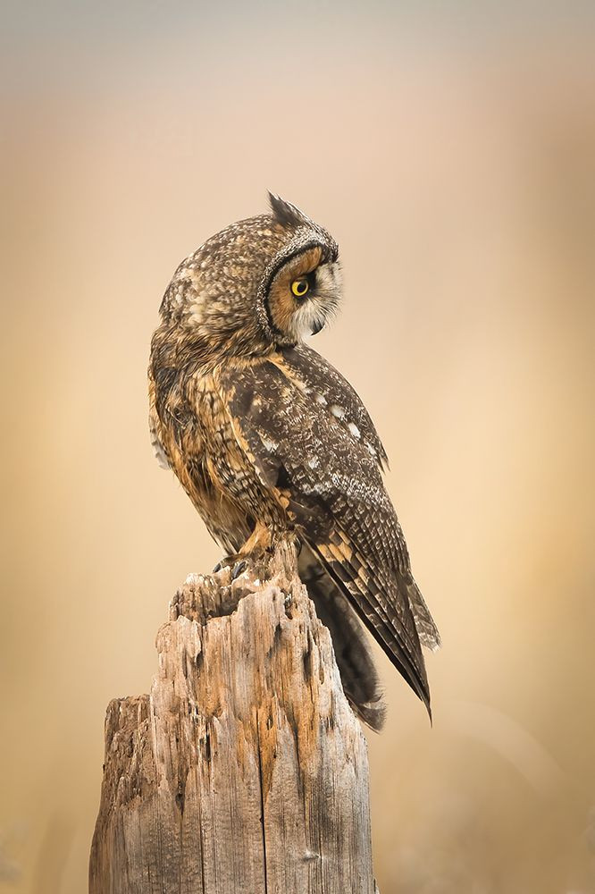 Sunrise Poster Print - Bill Lu - Posterazzi