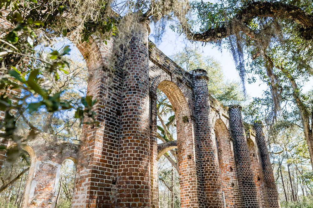 Old Sheldon 3 Poster Print - Will Malone - Posterazzi