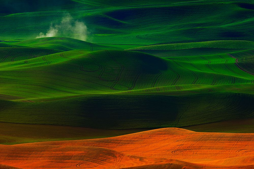 Morning in Palouse Poster Print - Phillip Chang - Posterazzi