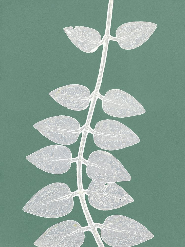 Vines C Poster Print - Studio MMB - Posterazzi