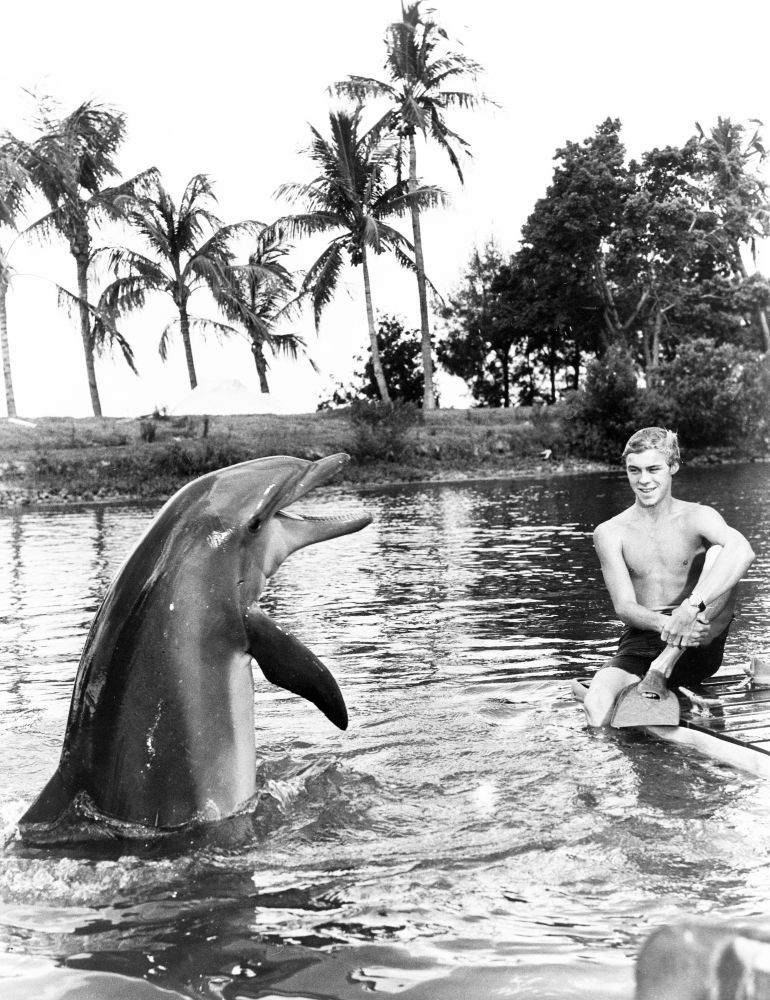 Flipper, Luke Halpin, With Flipper, 1964-1967 Poster Print - Posterazzi