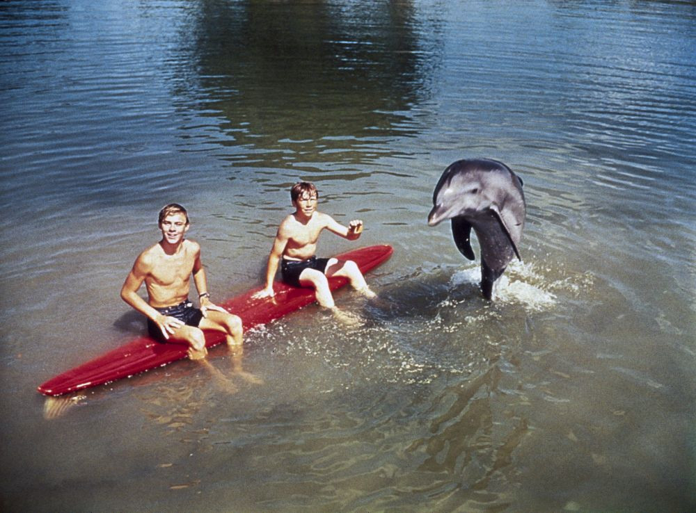 Flipper, Luke Halpin, Tommy Norden, Flipper, 1964-1968 Poster Print ...