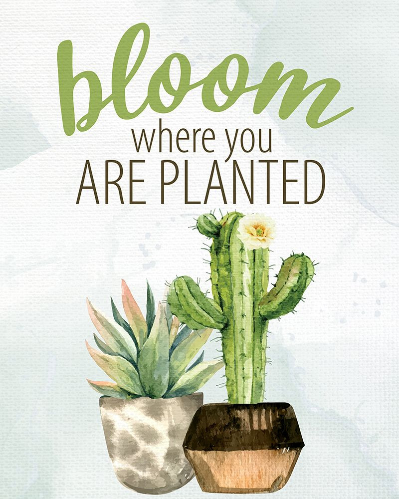 Bloom Poster Print - Kimberly Allen # VARPDXKARC2987A - Posterazzi