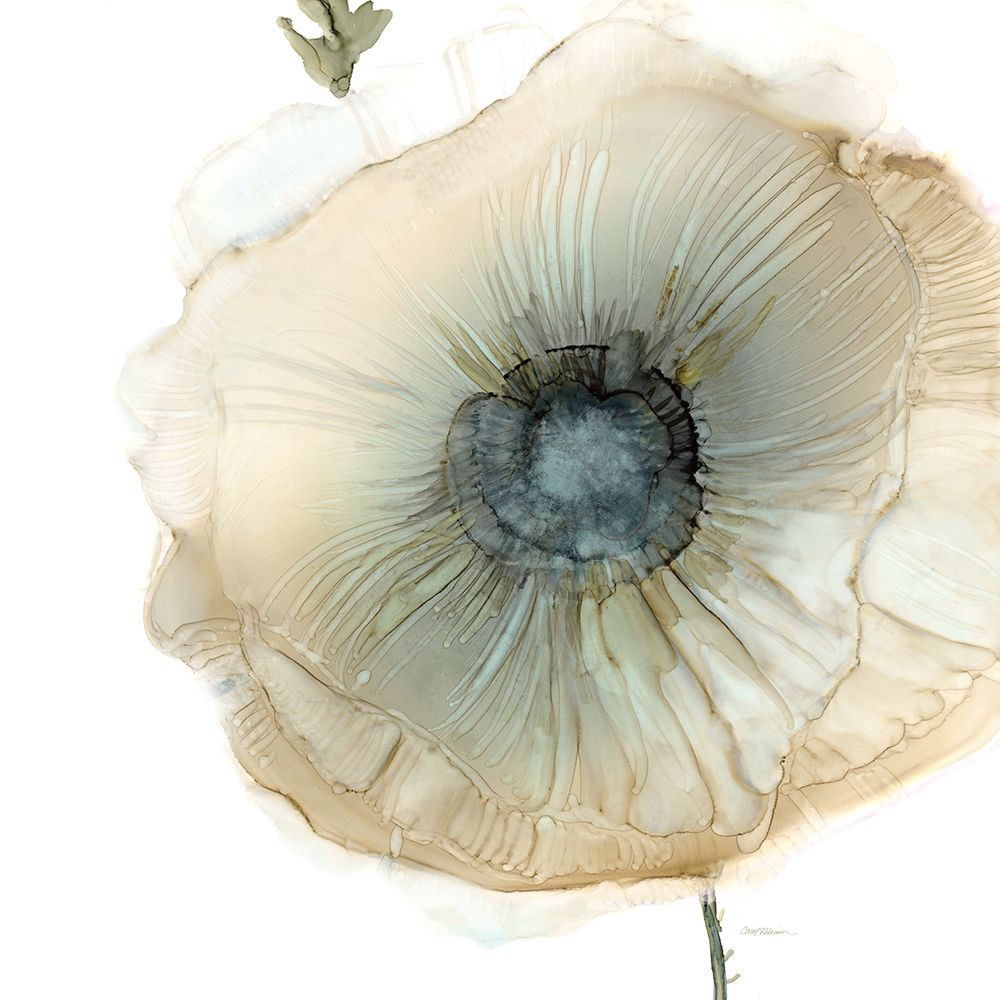 Iridescent Poppy II Poster Print - Carol Robinson # VARPDX18820 ...