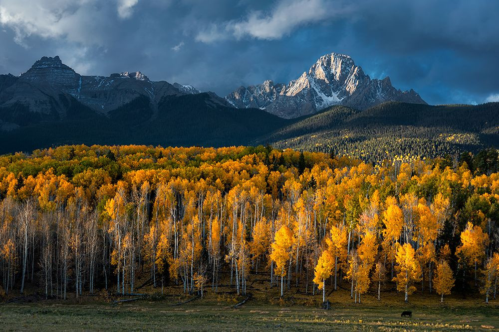 Mt Sneffels In Autumn Poster Print - Mei Xu # VARPDX1978010 - Posterazzi