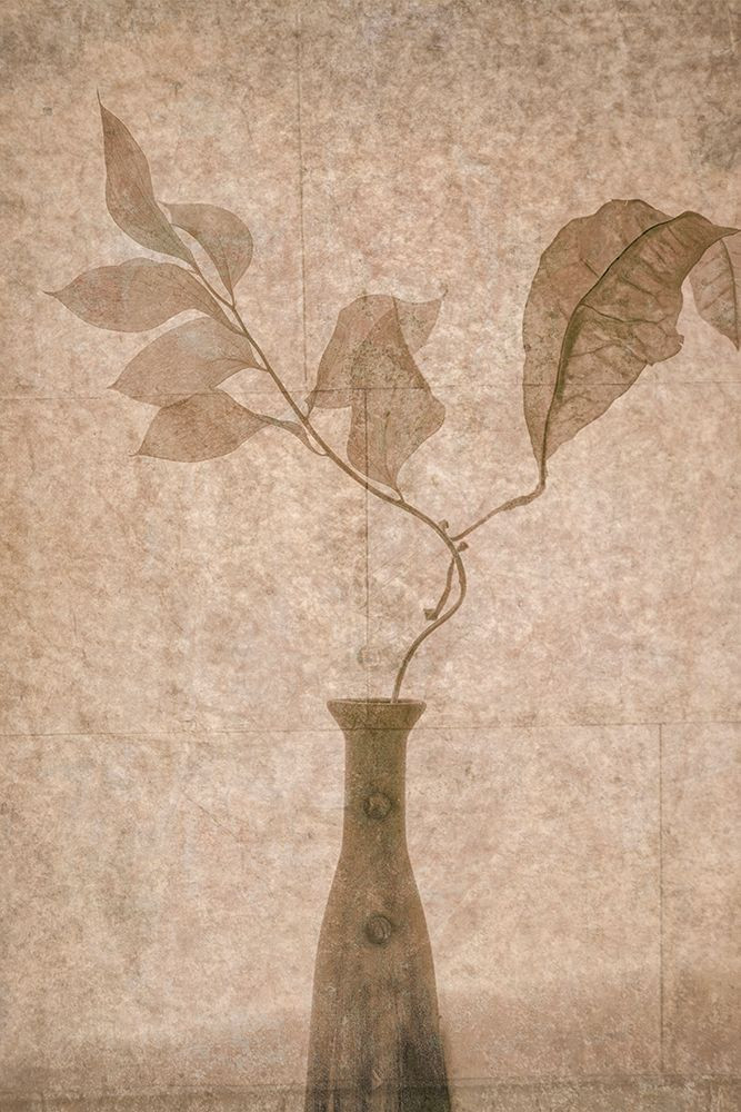 Still Life Poster Print - Igor Tokarev # VARPDX1929640 - Posterazzi