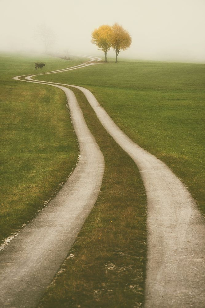 Winding Path Poster Print - Lars Van de Goor # VARPDX41457 - Posterazzi