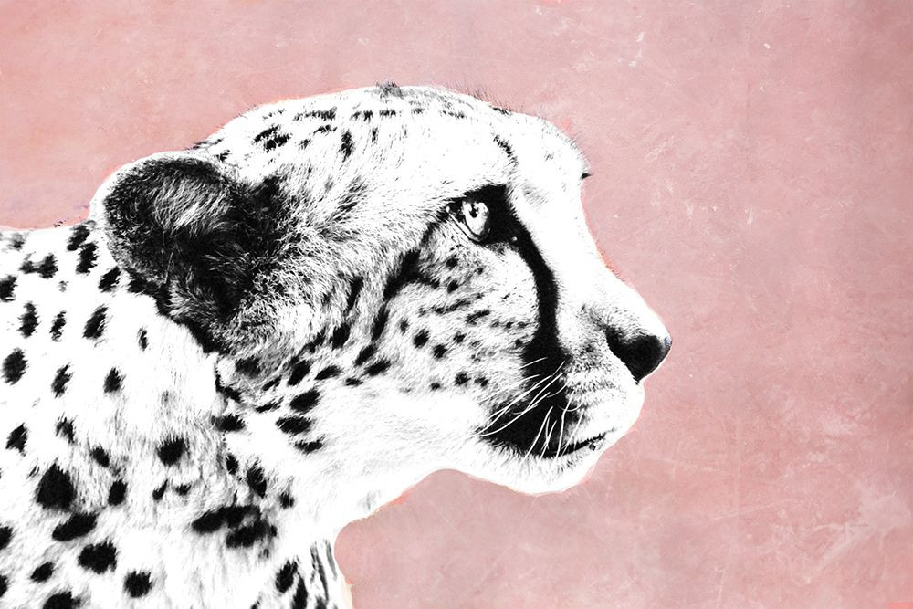 Wild Poster Print - SD Graphics Studio # VARPDX14035KA - Posterazzi