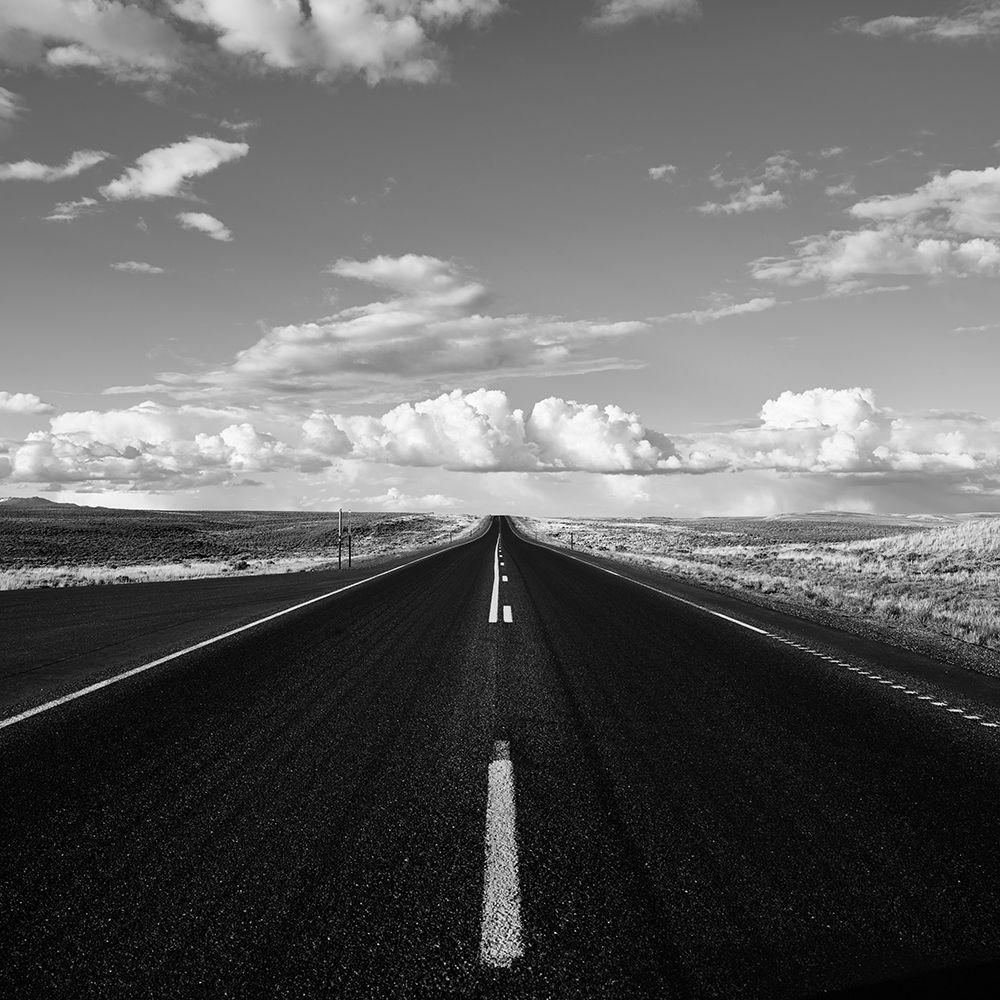 Road through South Pass in the Rocky Mountains Poster Print - Carol ...