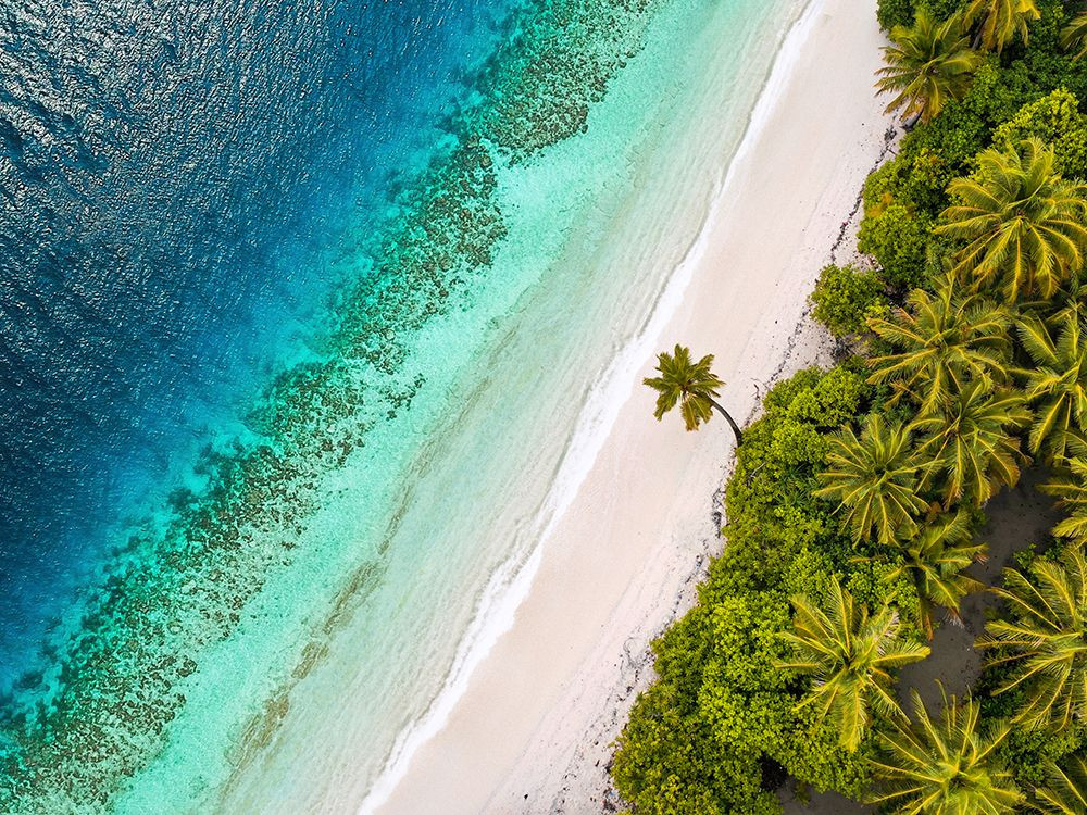 Tropical Beach, Aerial View Poster Print - Images Pangea (32 x 24 ...