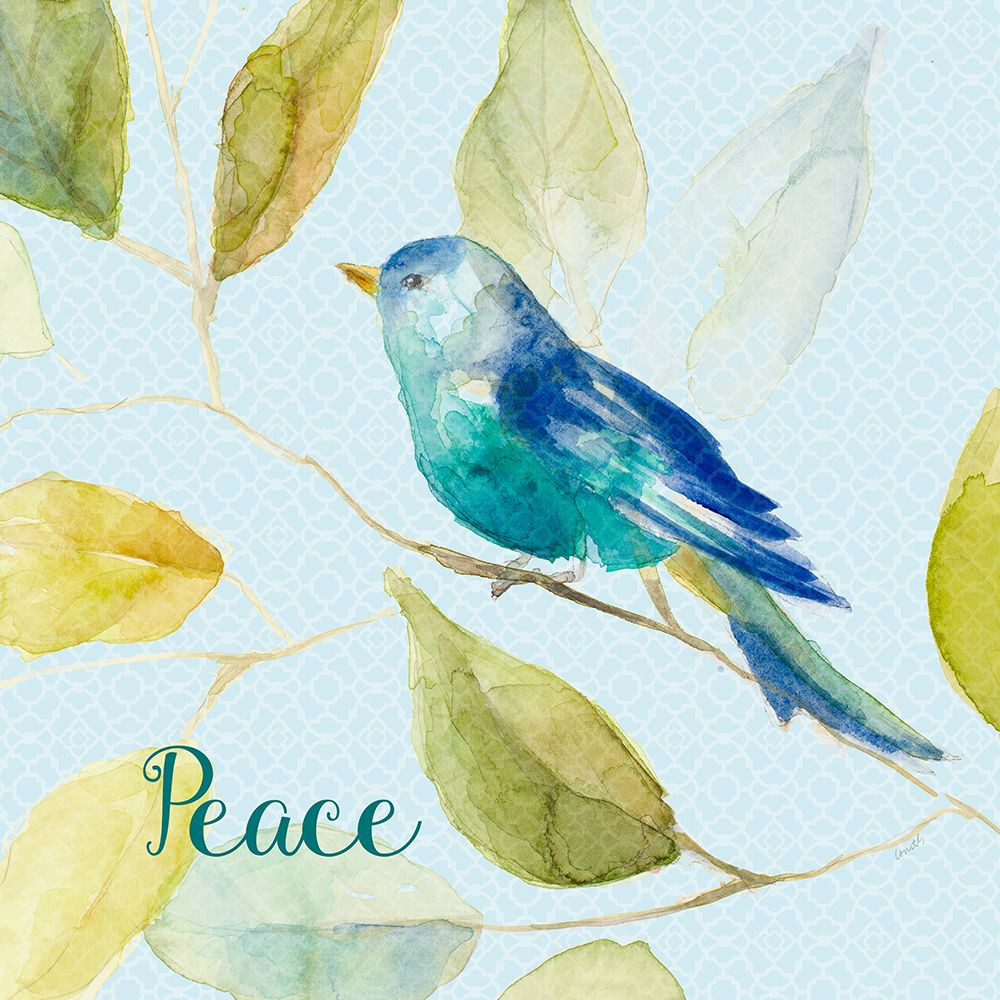 Bird Of Peace Poster Print - Lanie Loreth # VARPDX11799AB - Posterazzi