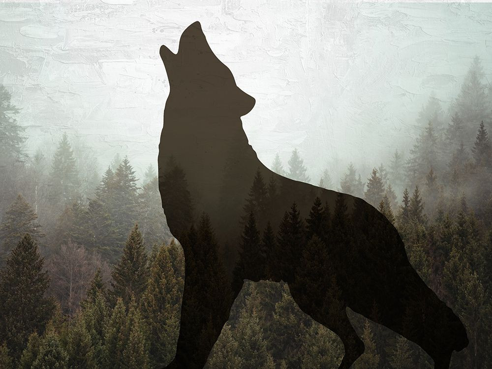 Wolf Poster Print - Kimberly Allen - Posterazzi