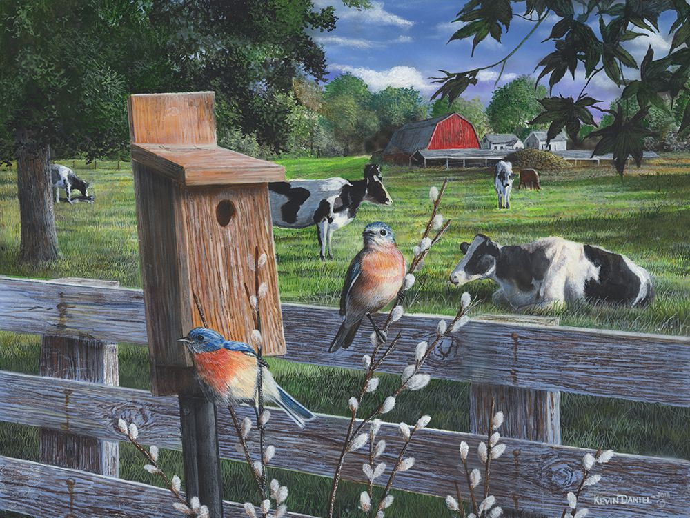 Bluebirds Poster Print - Kevin Daniel - Posterazzi