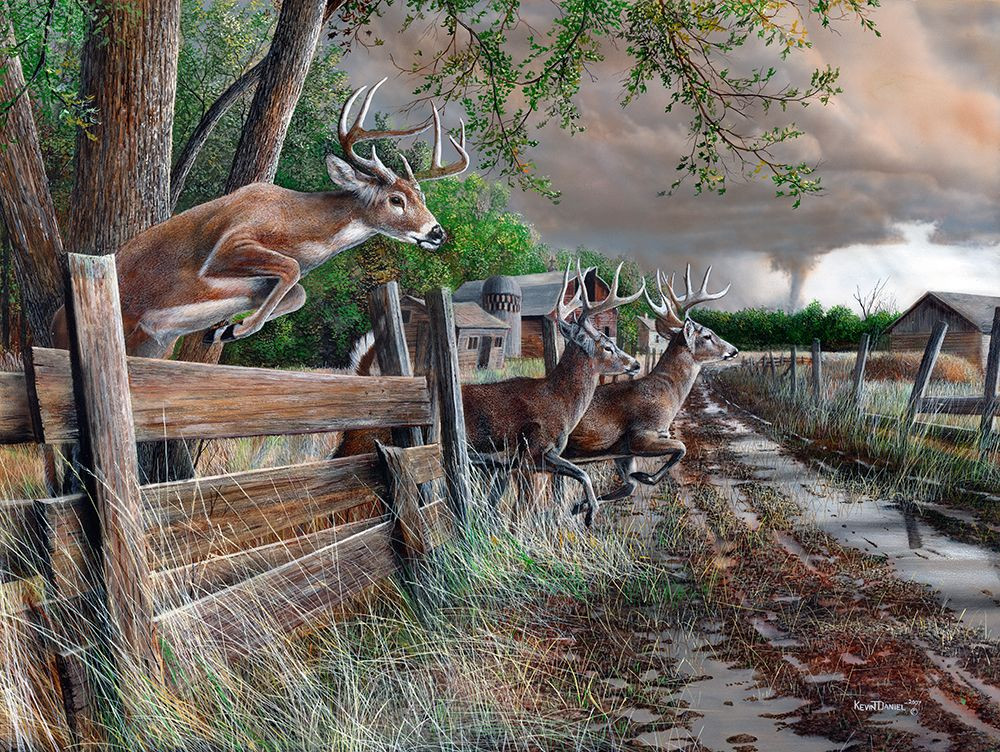 Bucks on the run Poster Print - Kevin Daniel - Posterazzi