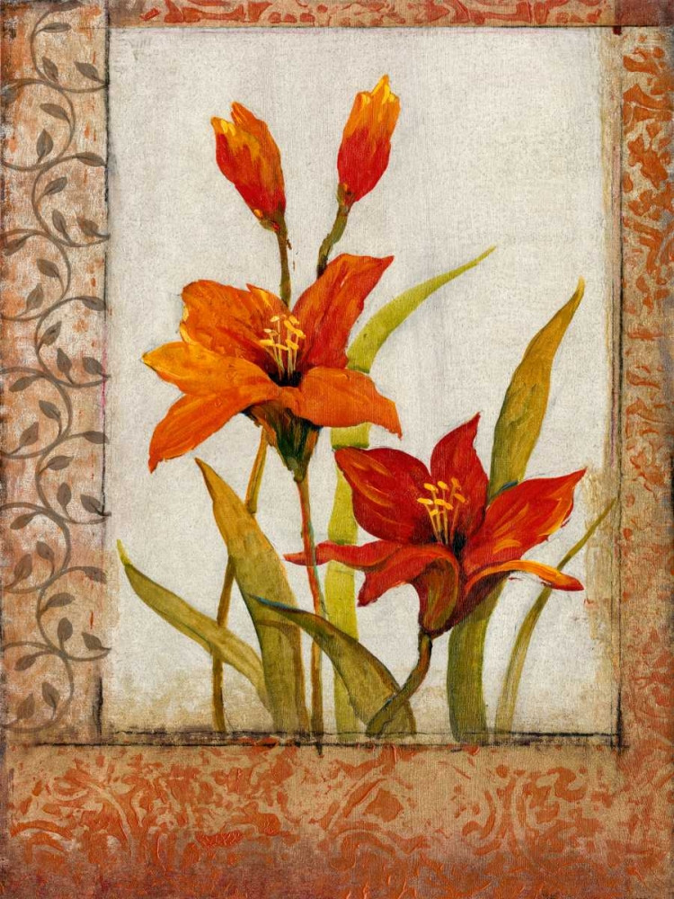 Tulip Inset I Poster Print - Tim OToole - Posterazzi