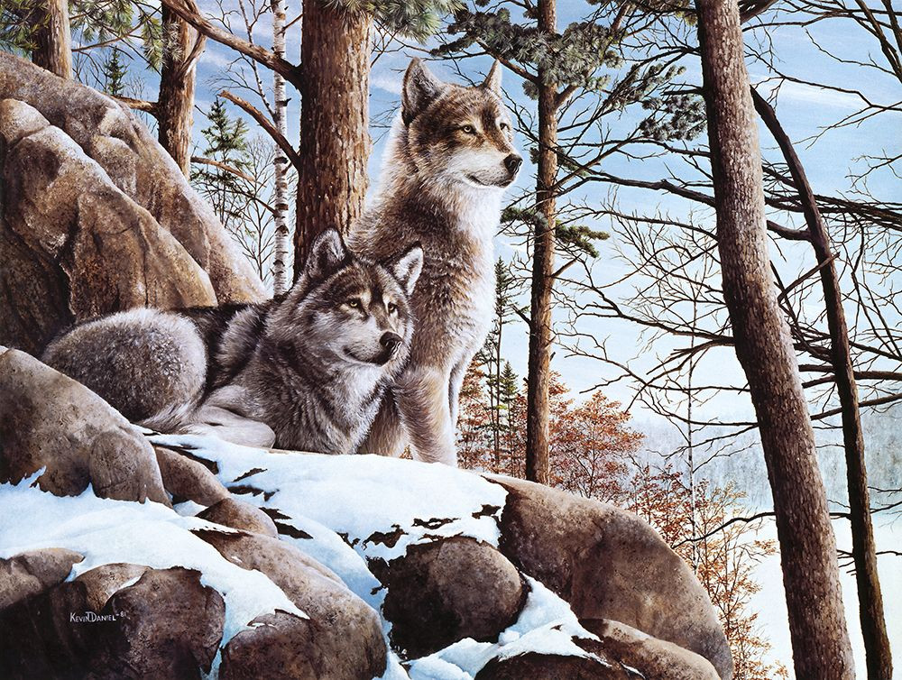 Pine Ridge Poster Print - Kevin Daniel - Posterazzi
