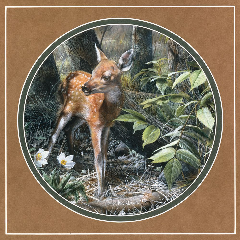 Morning Doe Poster Print - Kevin Daniel - Posterazzi
