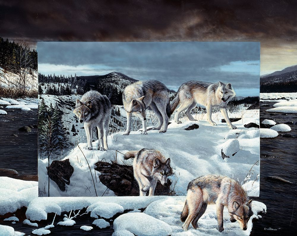 Winter Pack II Poster Print - Kevin Daniel - Posterazzi