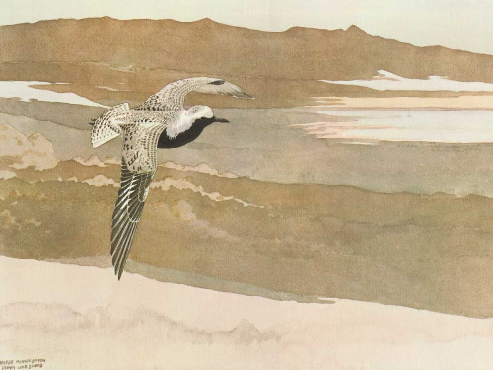 Soaring Poster Print - George Sutton - Posterazzi