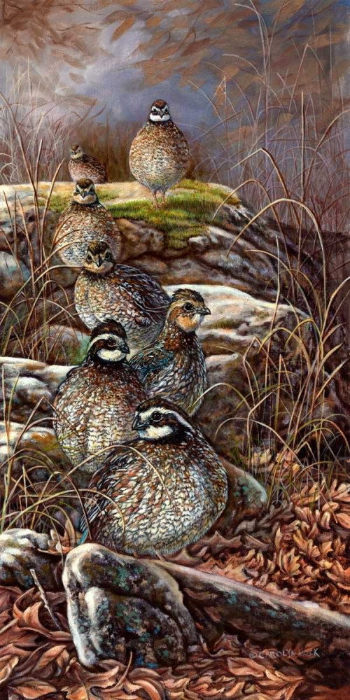 Quail Trail Poster Print - Carolyn Mock - Posterazzi