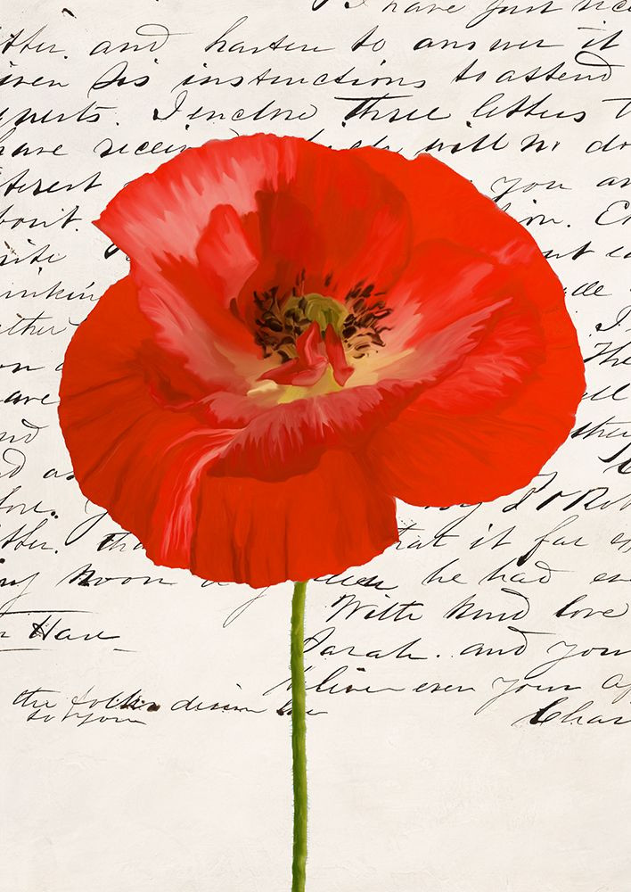 Poppy I Poster Print - Elena Dolci - Posterazzi