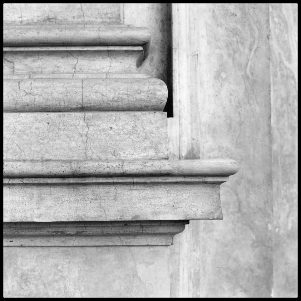 Enduring Composition I Poster Print - Laura DeNardo - Posterazzi