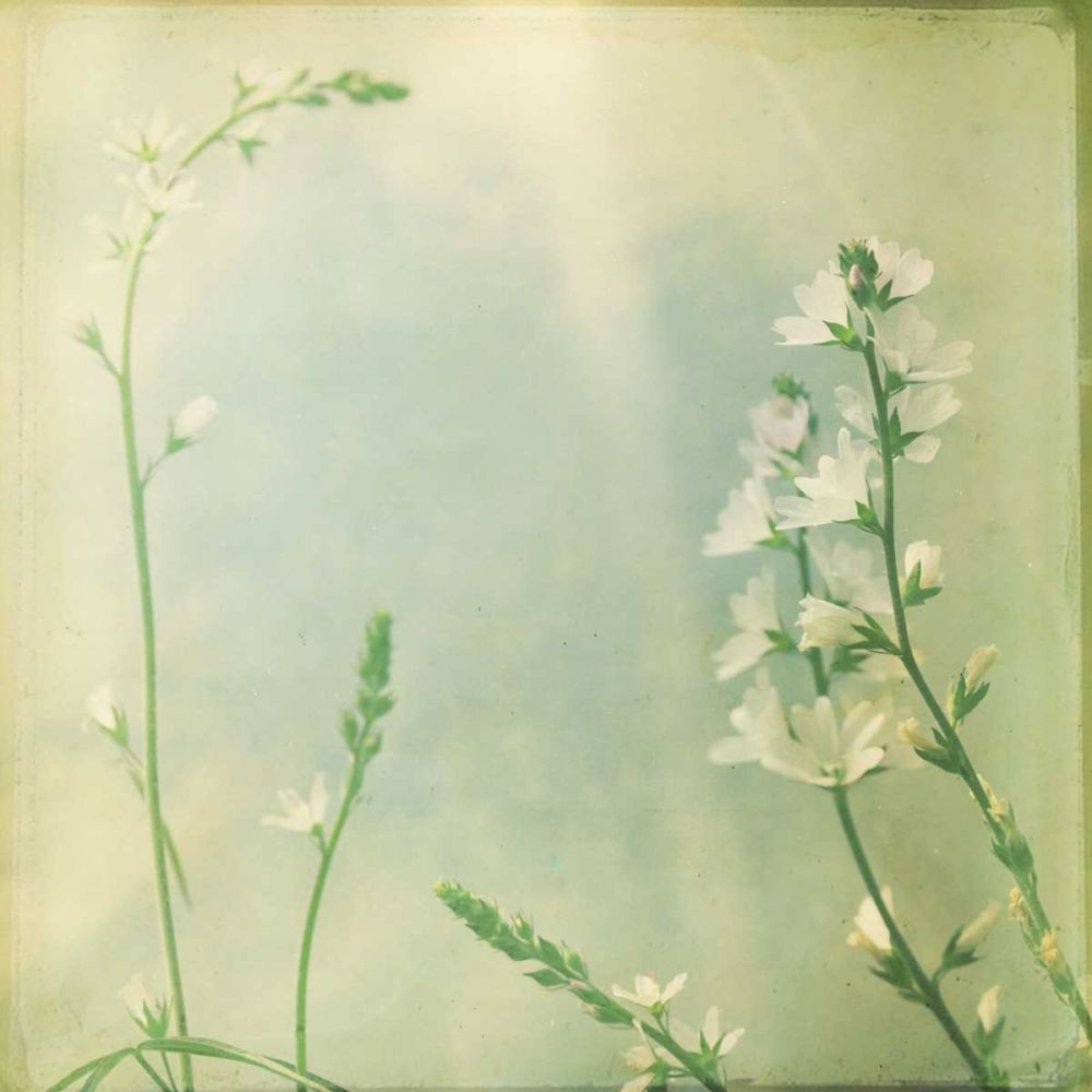 Pastel Paths IX Poster Print - Jennifer Jorgensen - Posterazzi