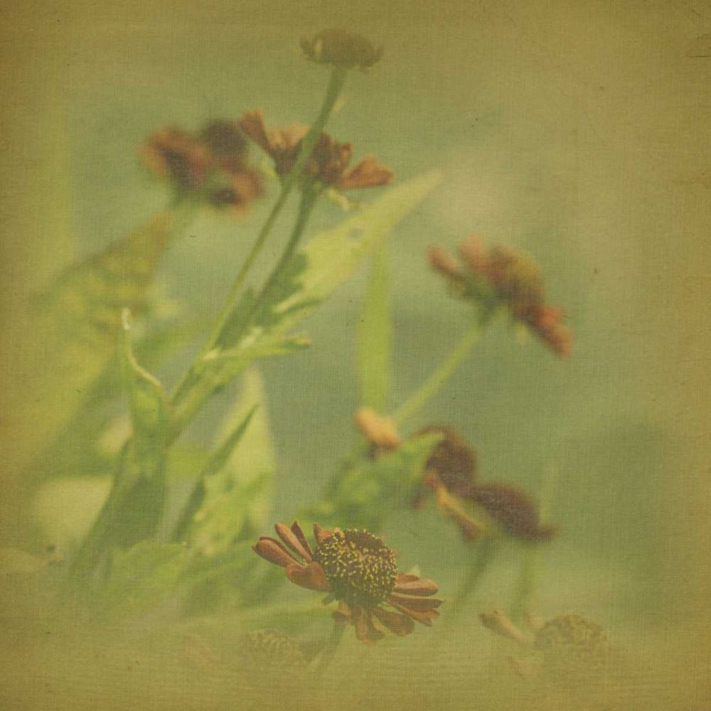 Filtered Dreams III Poster Print - Jennifer Jorgensen - Posterazzi