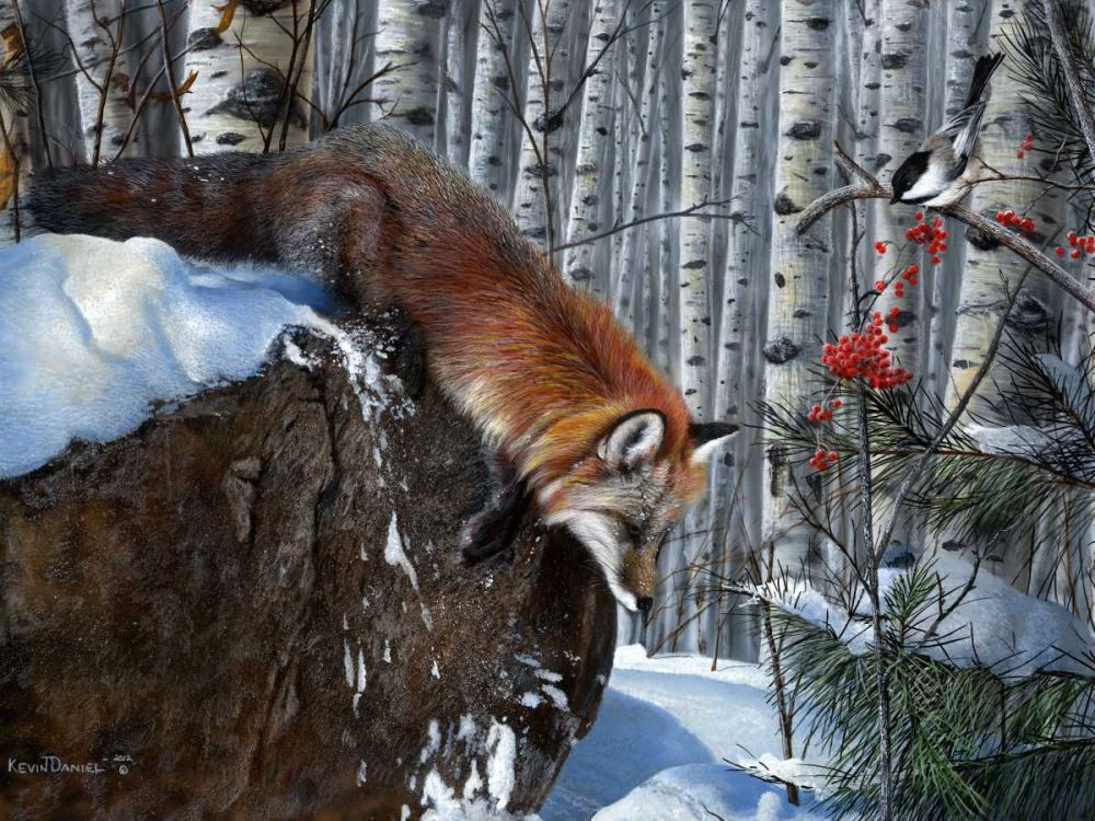 Fox in Winter Poster Print - Kevin Daniel - Posterazzi