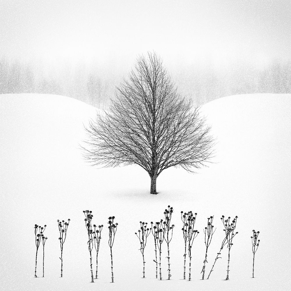 White Poster Print - Matt Anderson - Posterazzi