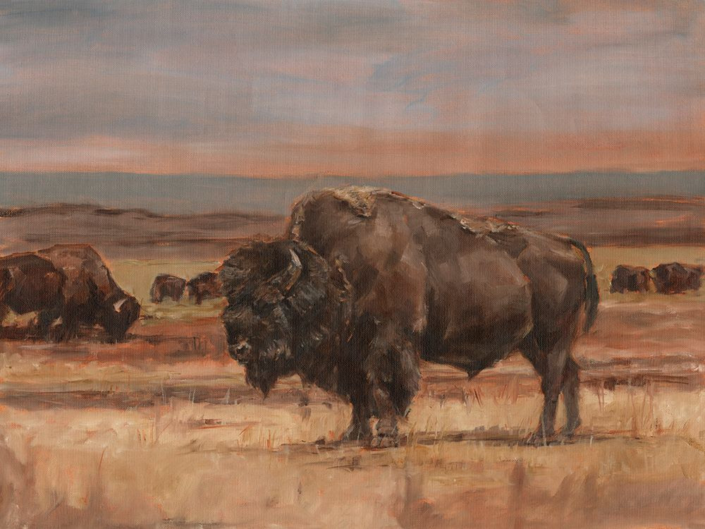 American Buffalo on the Plains II Poster Print - Ethan Harper - Posterazzi
