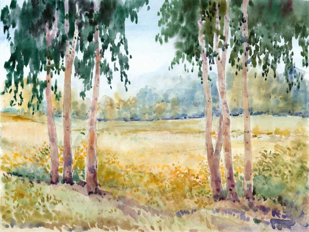 Luminous Meadow II Poster Print - Tim OToole - Posterazzi