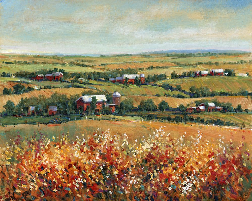 Rural Open Landscape I Poster Print - Tim OToole - Posterazzi