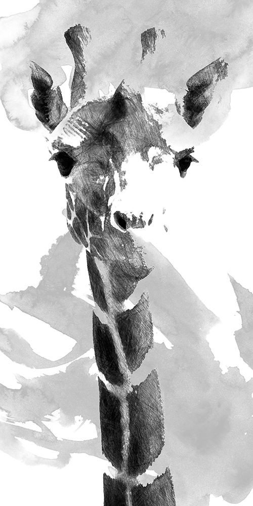 Giraffe study II Poster Print - Alonzo Saunders - Posterazzi