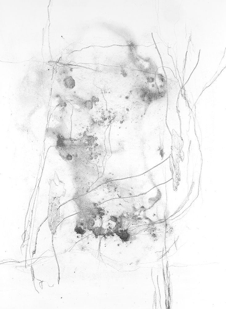 Graphite Abstract IV Poster Print - Michael Willett - Posterazzi