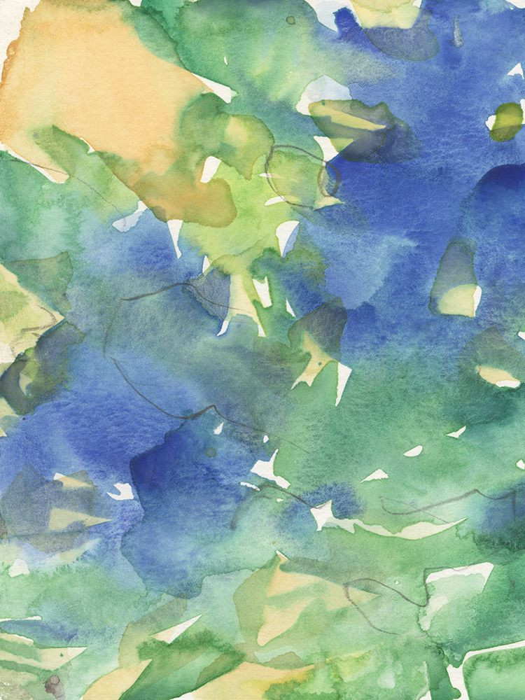 Fanciful Flora I Poster Print Samuel Dixon Posterazzi