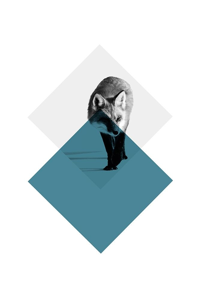 Geo Fox Poster Print - Sisa Jasper - Posterazzi