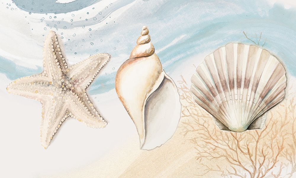 Ocean Oasis Shells Poster Print - Patricia Pinto - Posterazzi