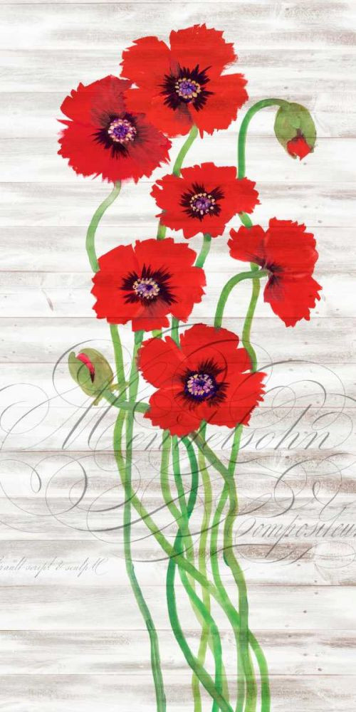 Red Poppy Panel II Poster Print - Tim OToole - Posterazzi