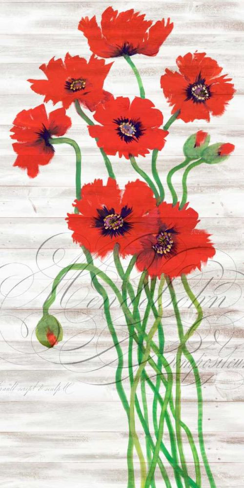 Red Poppy Panel I Poster Print - Tim OToole - Posterazzi