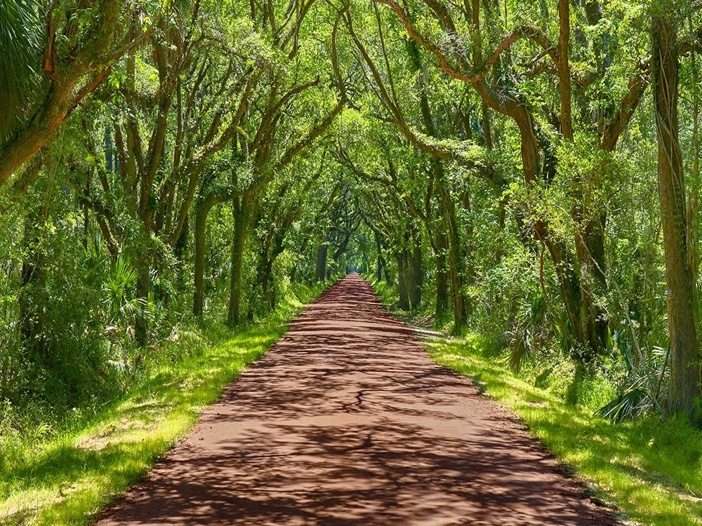Country Road Photo IV Poster Print - James McLoughlin - Posterazzi