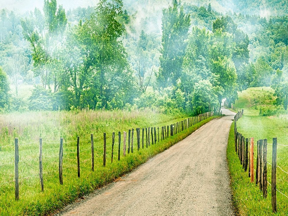 Country Road Photo II Poster Print - James McLoughlin - Posterazzi