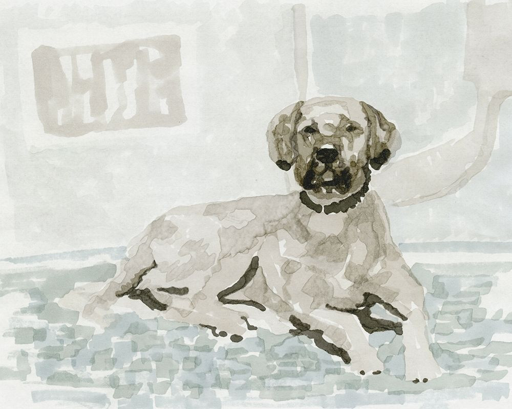 Dog Study I Poster Print - Design Studio Stellar - Posterazzi