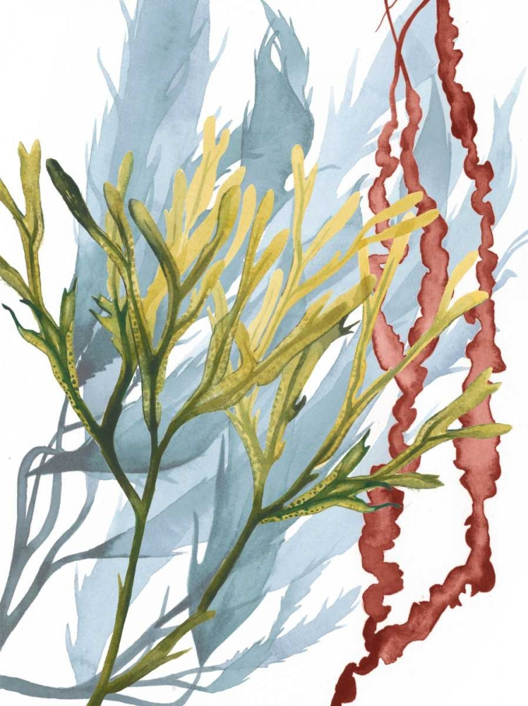Seaweed Flow II Poster Print - Grace Popp - Posterazzi
