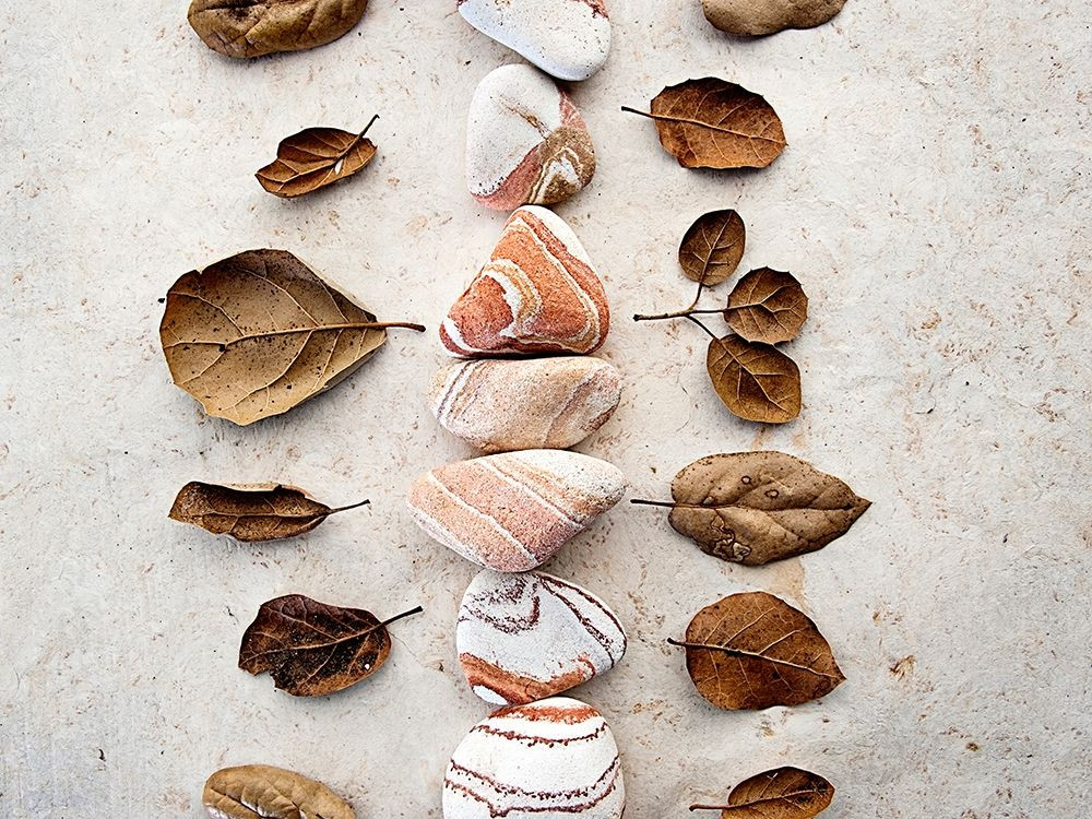 Gifts of the Earth V Poster Print - Elena Ray - Posterazzi