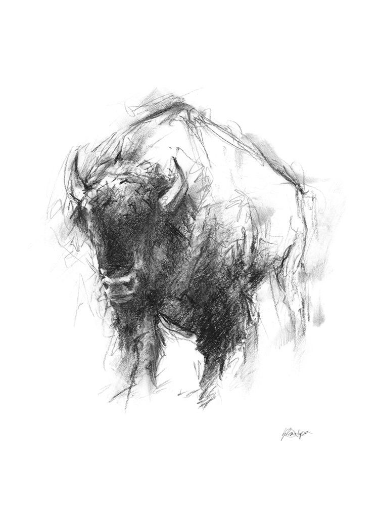 Western Animal Sketch I Poster Print - Ethan Harper - Posterazzi