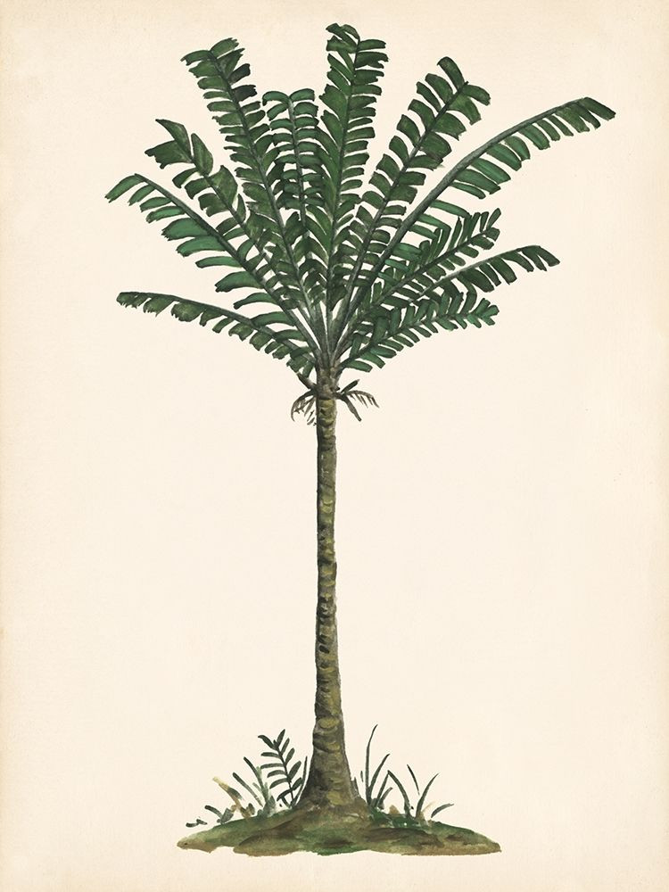 Palm Tree Study IV Poster Print - Melissa Wang - Posterazzi