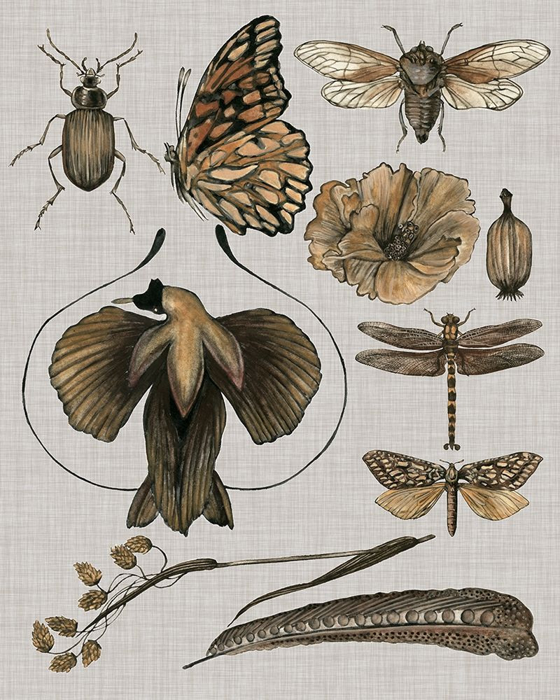 Nature Studies II Poster Print - Melissa Wang - Posterazzi