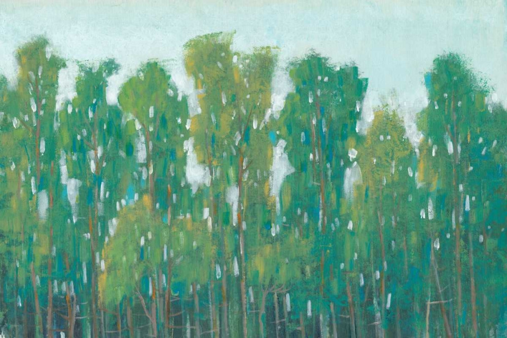 Forest Green II Poster Print - Tim OToole - Posterazzi