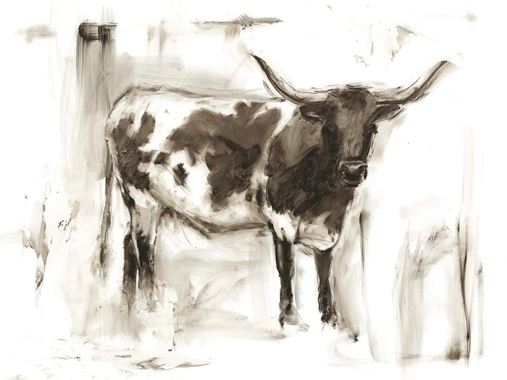 Longhorn Study I Poster Print - Ethan Harper - Posterazzi